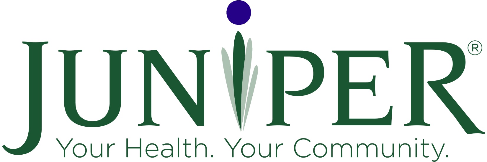 Juniper Systems Logo